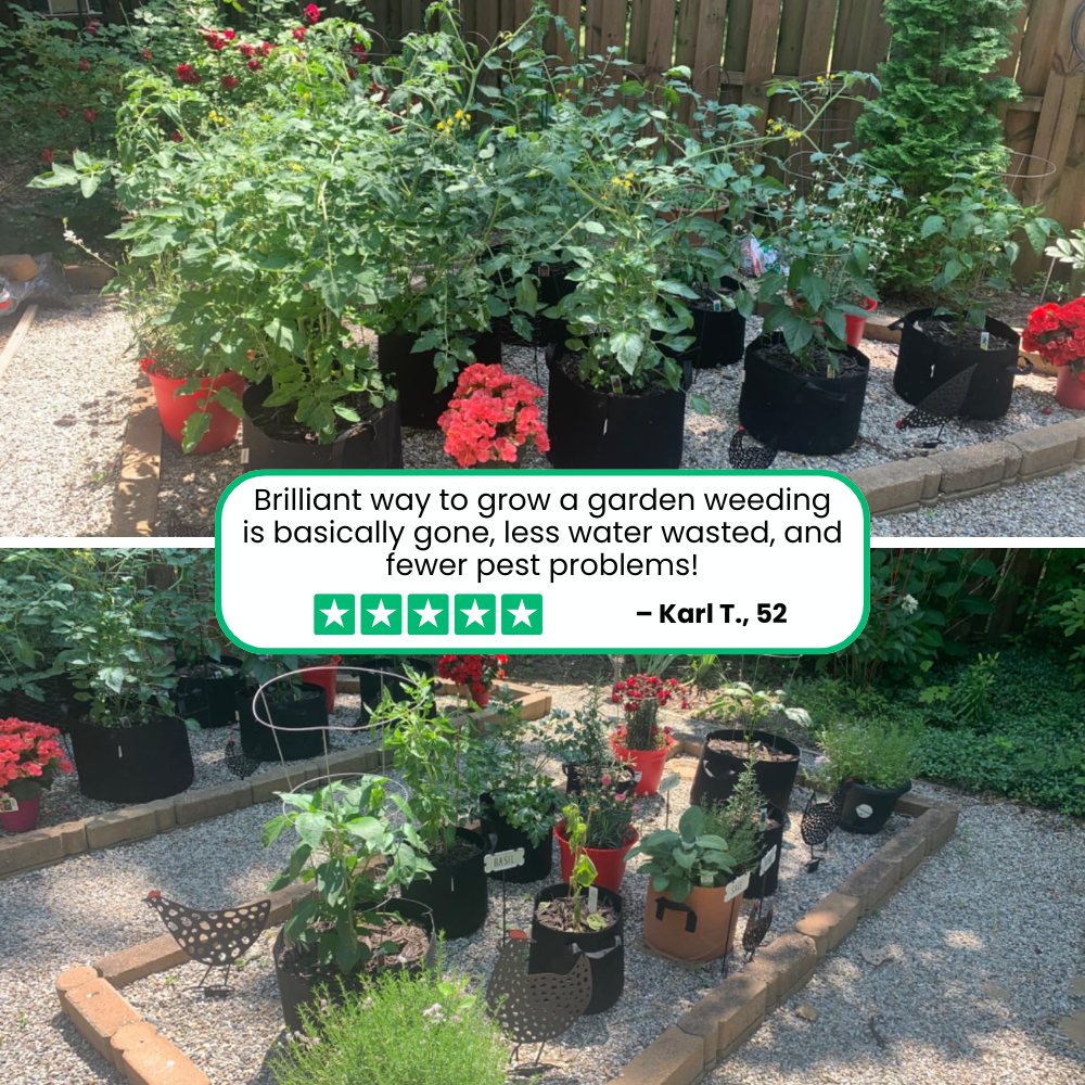 FP1 | Heavy-Duty Reusable Fabric Planters – BeeHomie